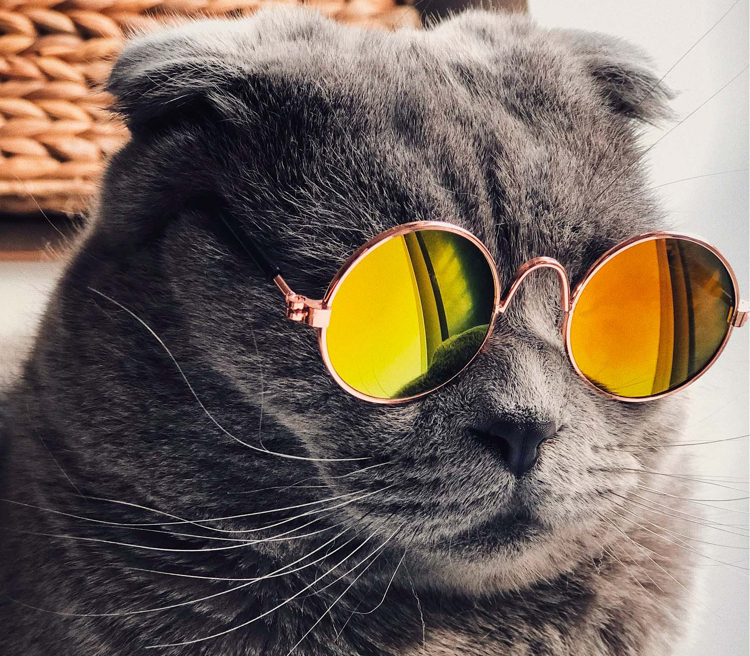 Location de bureau petite surface : trouver la perle rare | Hub-Grade ...